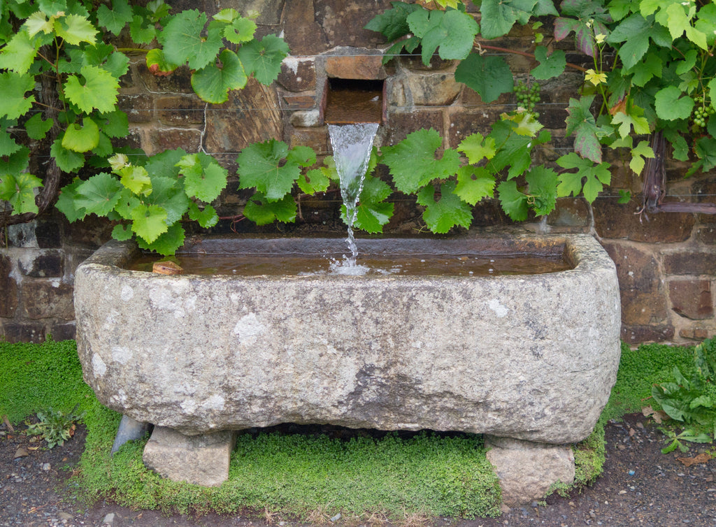 Antique Stone Troughs: Heritage & Use in the Garden | Violet Grey