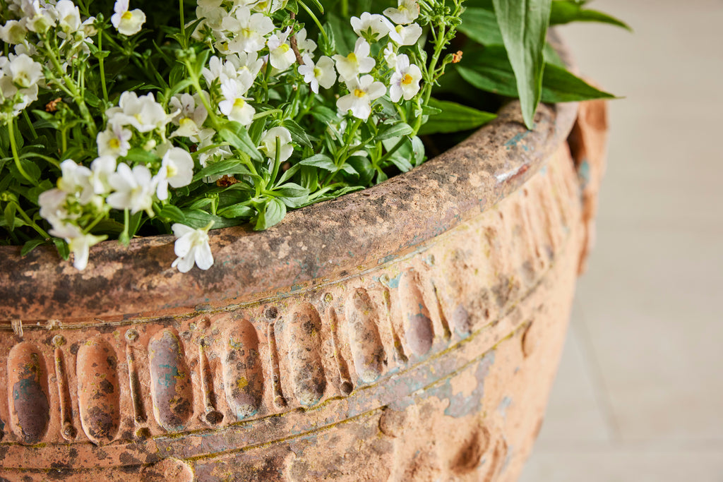 Italian Terrcotta Planter | Garden Antiques | Violet Grey