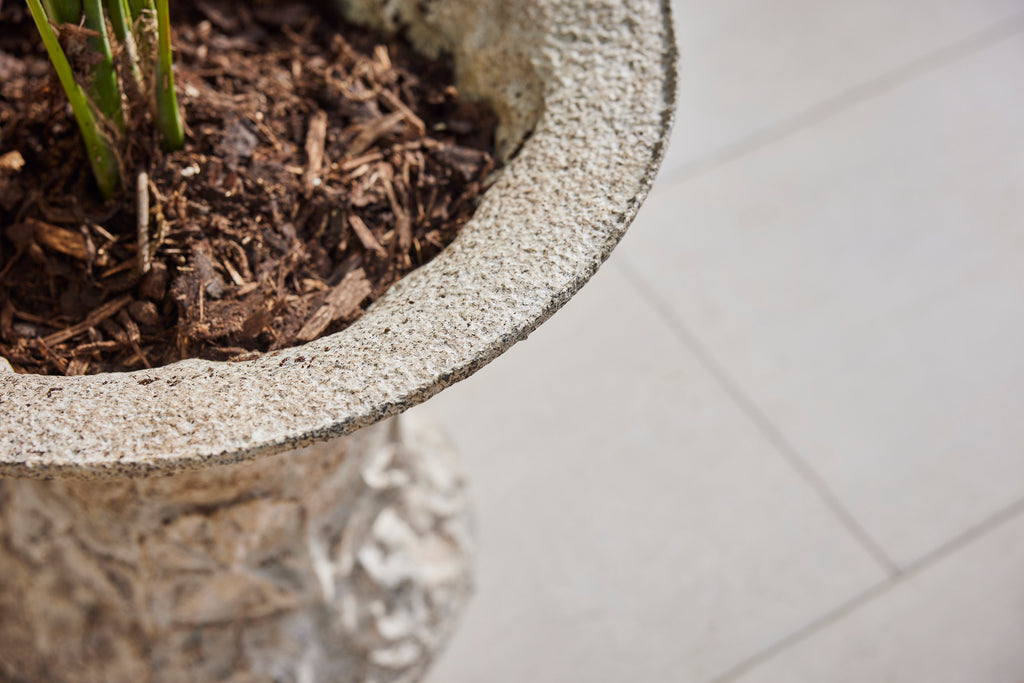 19th Century Cast Iron Planter | Garden Antiques | Violet Grey
