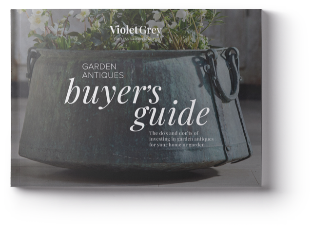 Buyer's Guide – Violet Grey