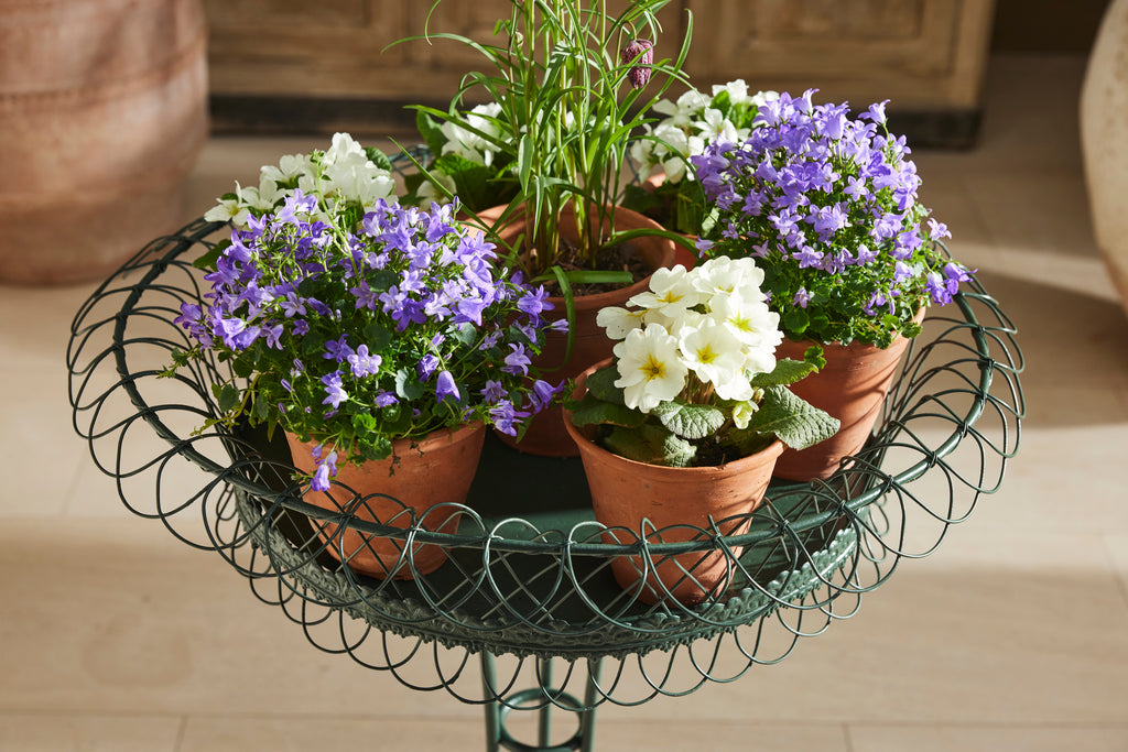Wireframe Jardiniere | Garden Antiques | Violet Grey