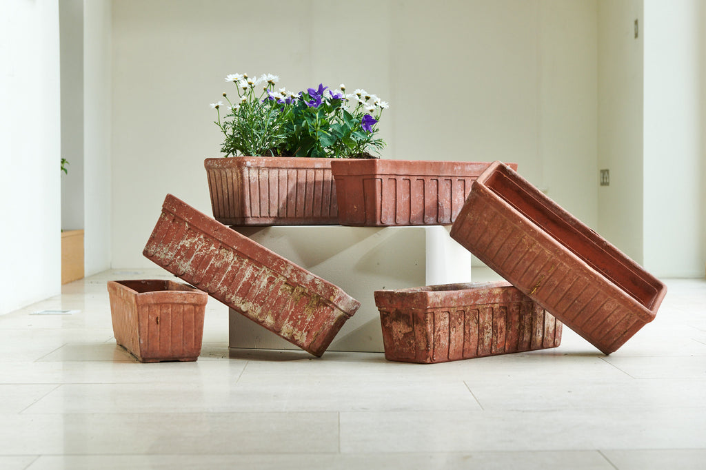 Rectangular Terracotta Planters | Garden Antiques | Violet Grey