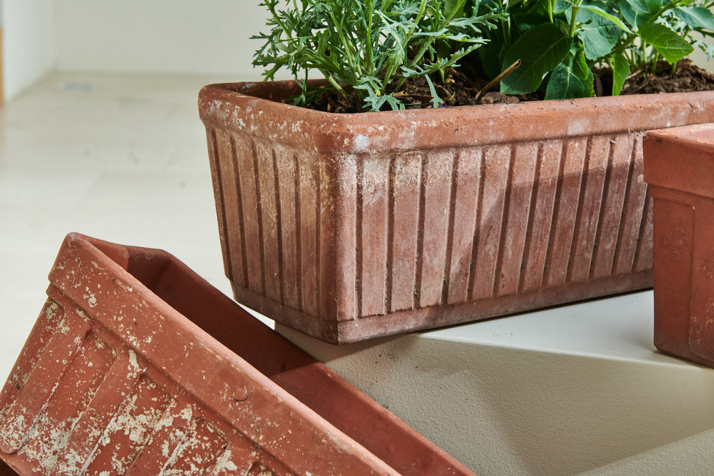 Rectangular Terracotta Planters | Garden Antiques | Violet Grey