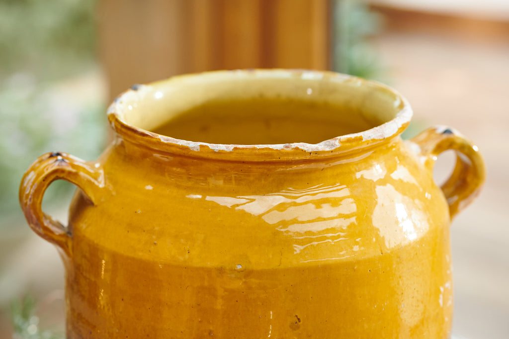 Yellow Confit Pots | Garden Antiques | Violet Grey